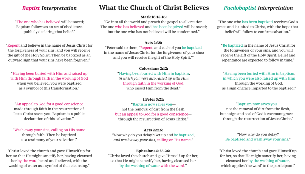 Infant Innocence/ Believer’s Baptism – Springhouse Charts